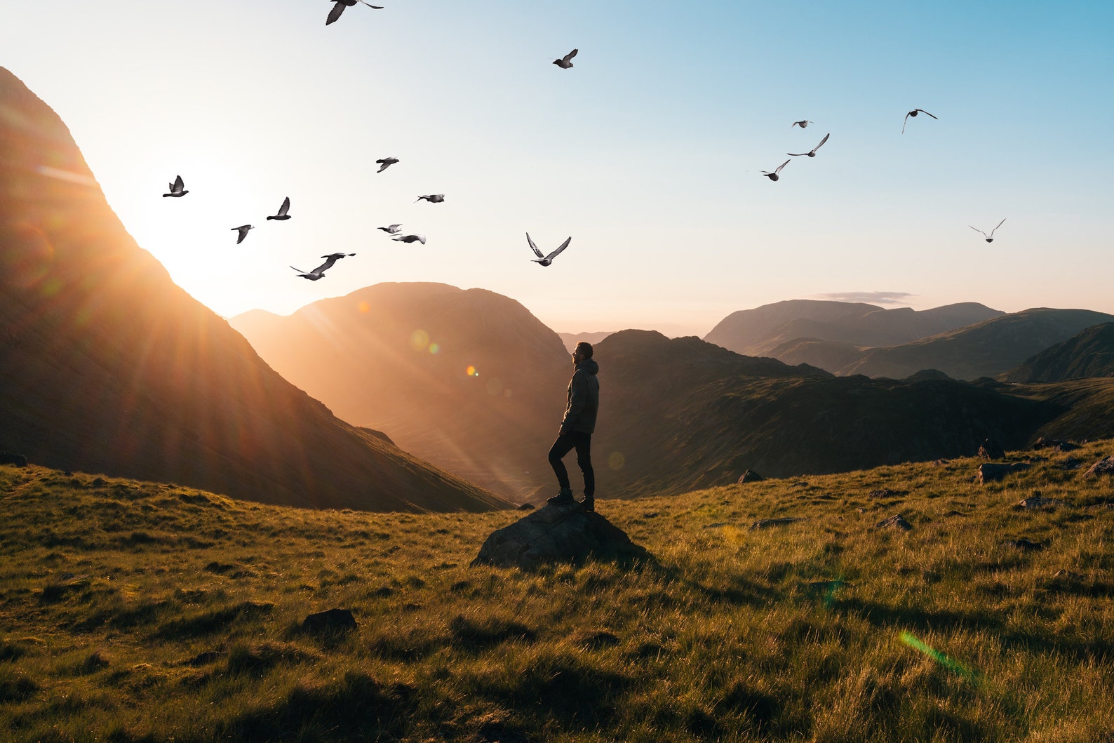 Bird Flock Png Bird Flock Overlays Bird Flock Fly Flock of - Etsy