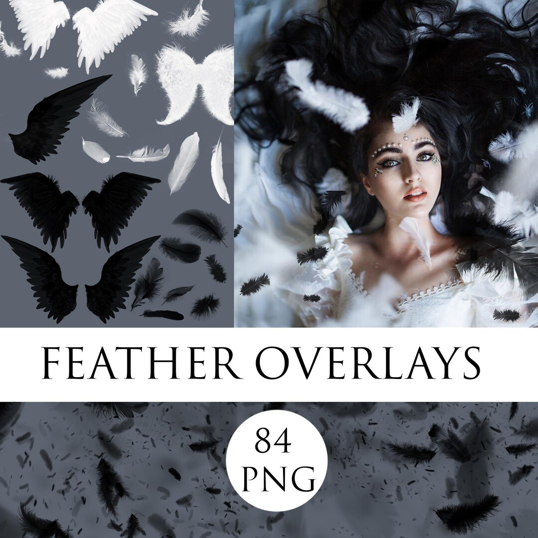 Feather Overlays, Feather Photo Overlay, Feather Photoshop Overlay ...