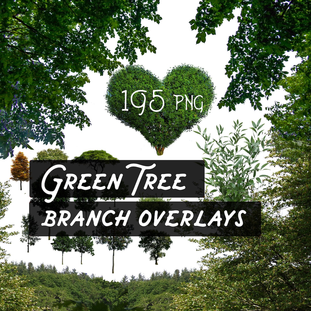 Green Tree Photoshop Overlays, Green Branches Overlays, Spring Overlays ...