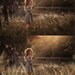 Field Overlays, Wheat Fields Overlay, Golden Field Photo Overlays ...