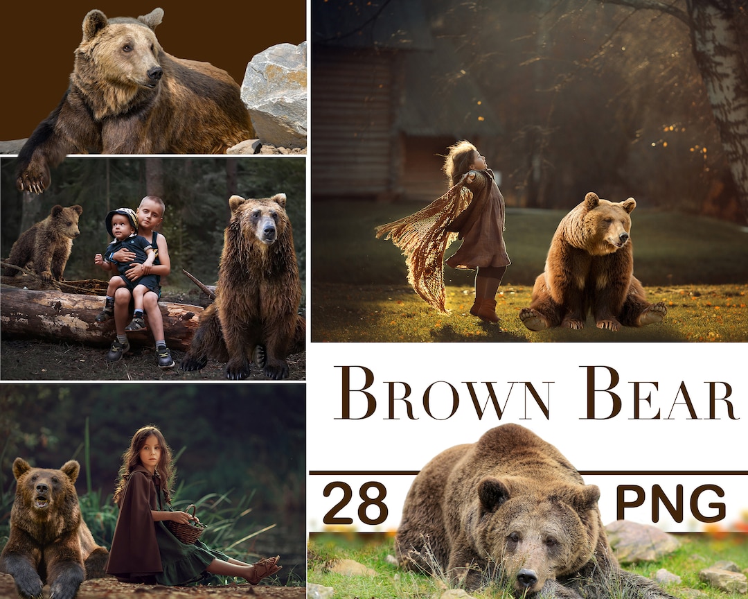 Bear Png, Bear Clipart, Wild Animal Overlays, Wild Bears Overlay ...