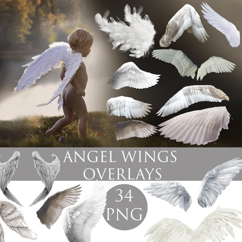 Angel Wings Photo Overlays: PNG Clipart for Photoshop (34 Files) - Etsy
