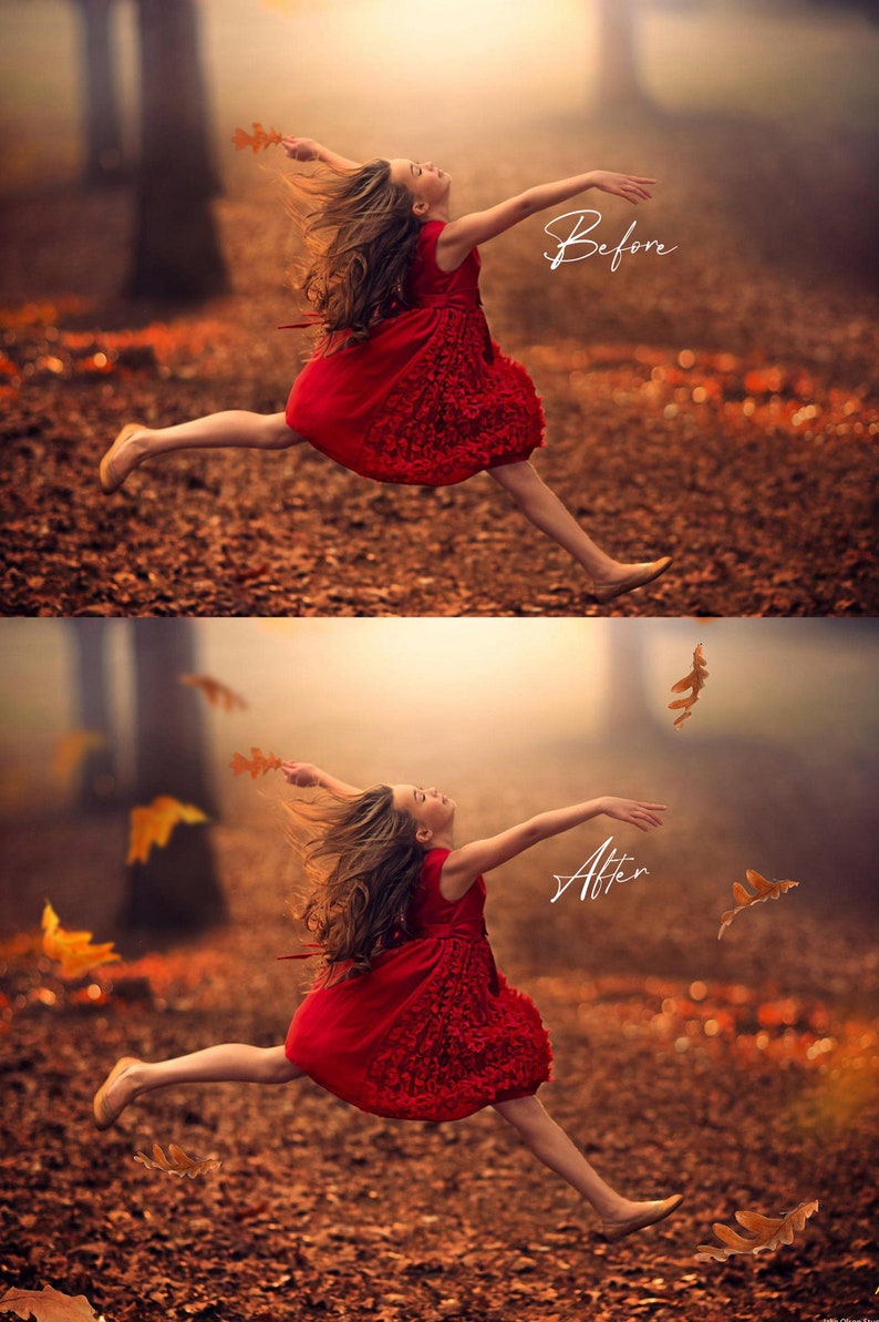 170 Autumn Leaves Png Autumn Leaves Photoshop Overlay Autumn | Etsy