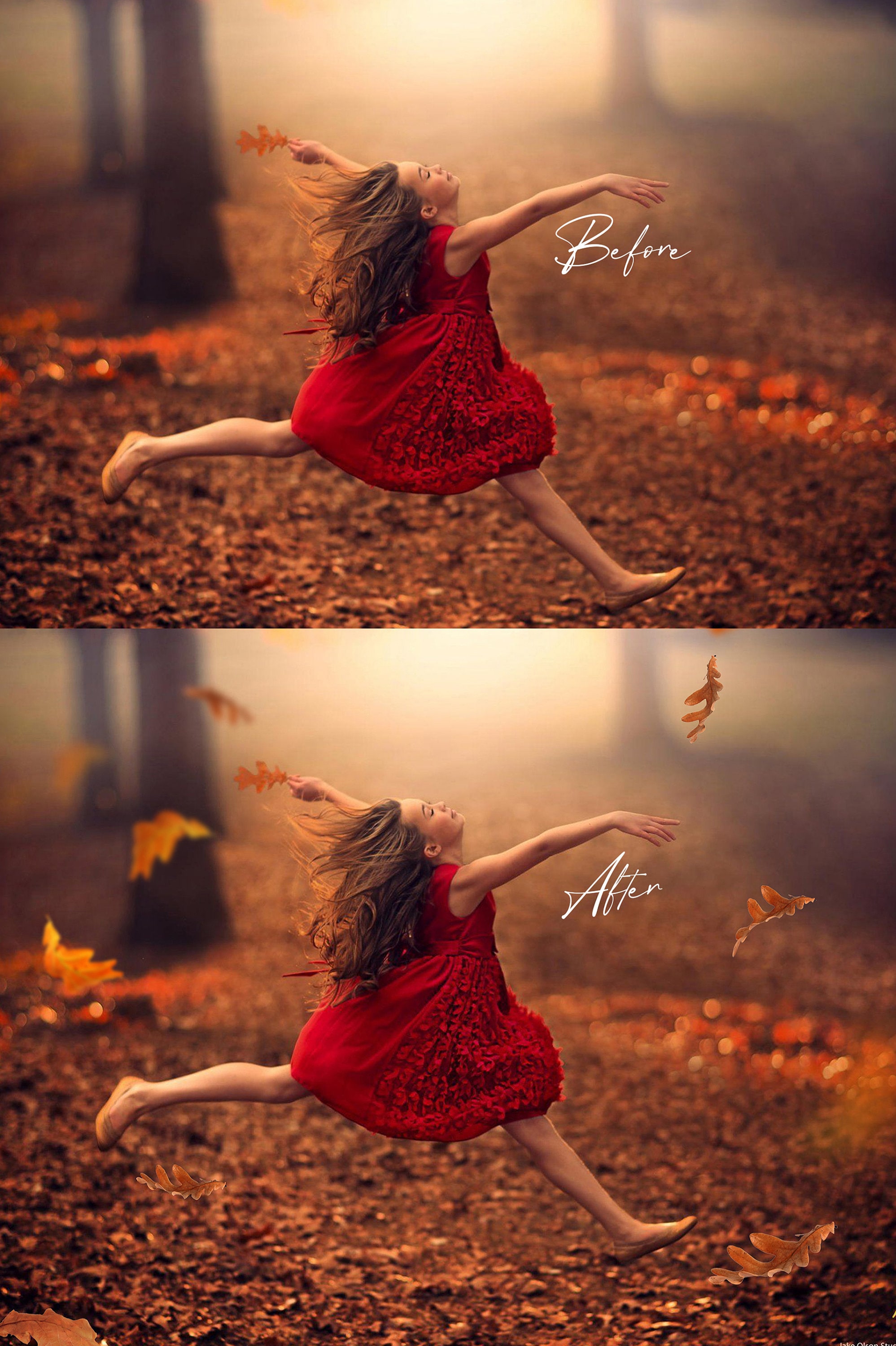 170 Autumn Leaves Png Autumn Leaves Photoshop Overlay Autumn | Etsy