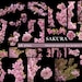 Sakura Overlays, Cherry Blossoms Png, Blooming Spring Branch Overlays ...