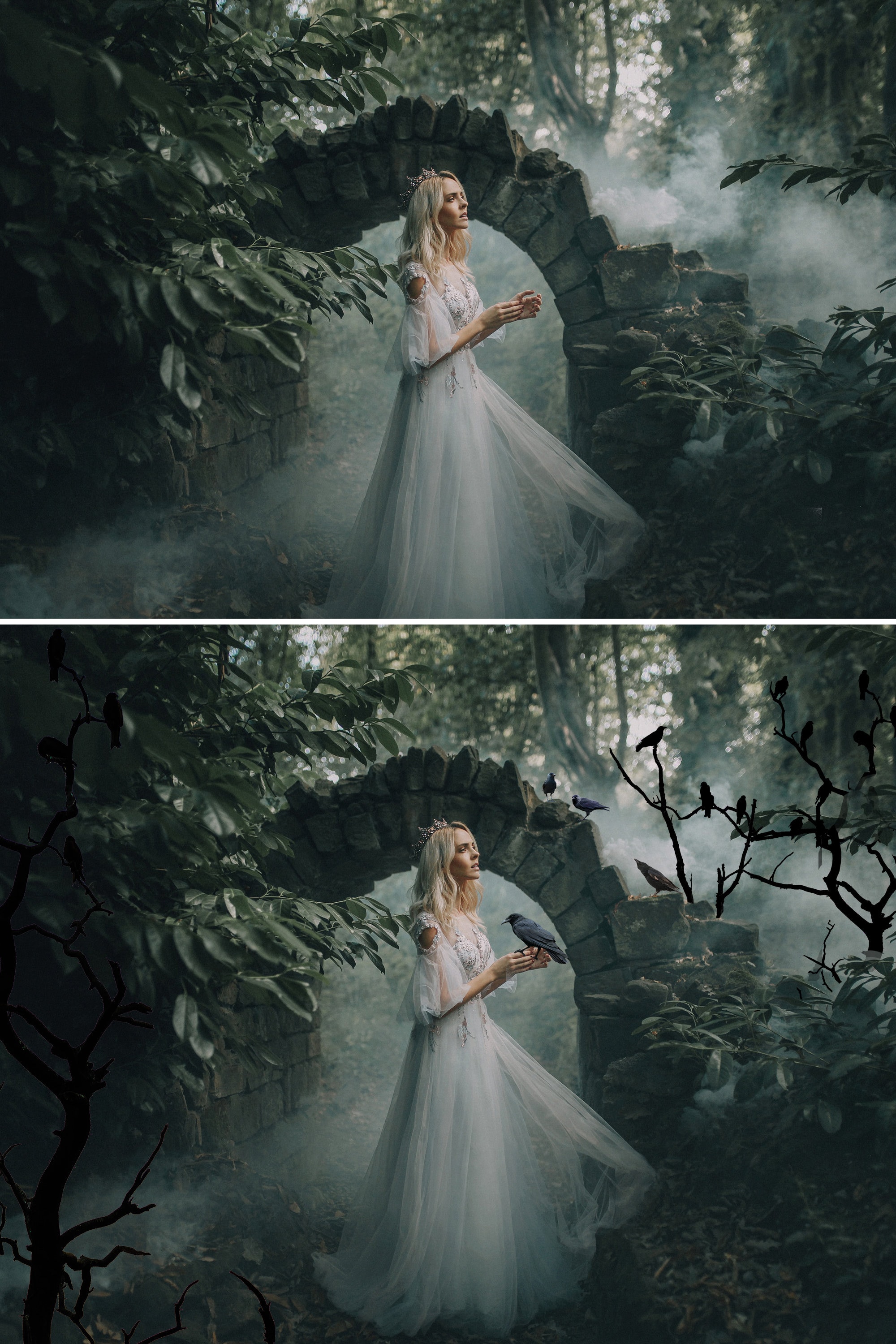 Crows Overlays Fly Bird Overlays Black Raven Png Ravens and - Etsy UK