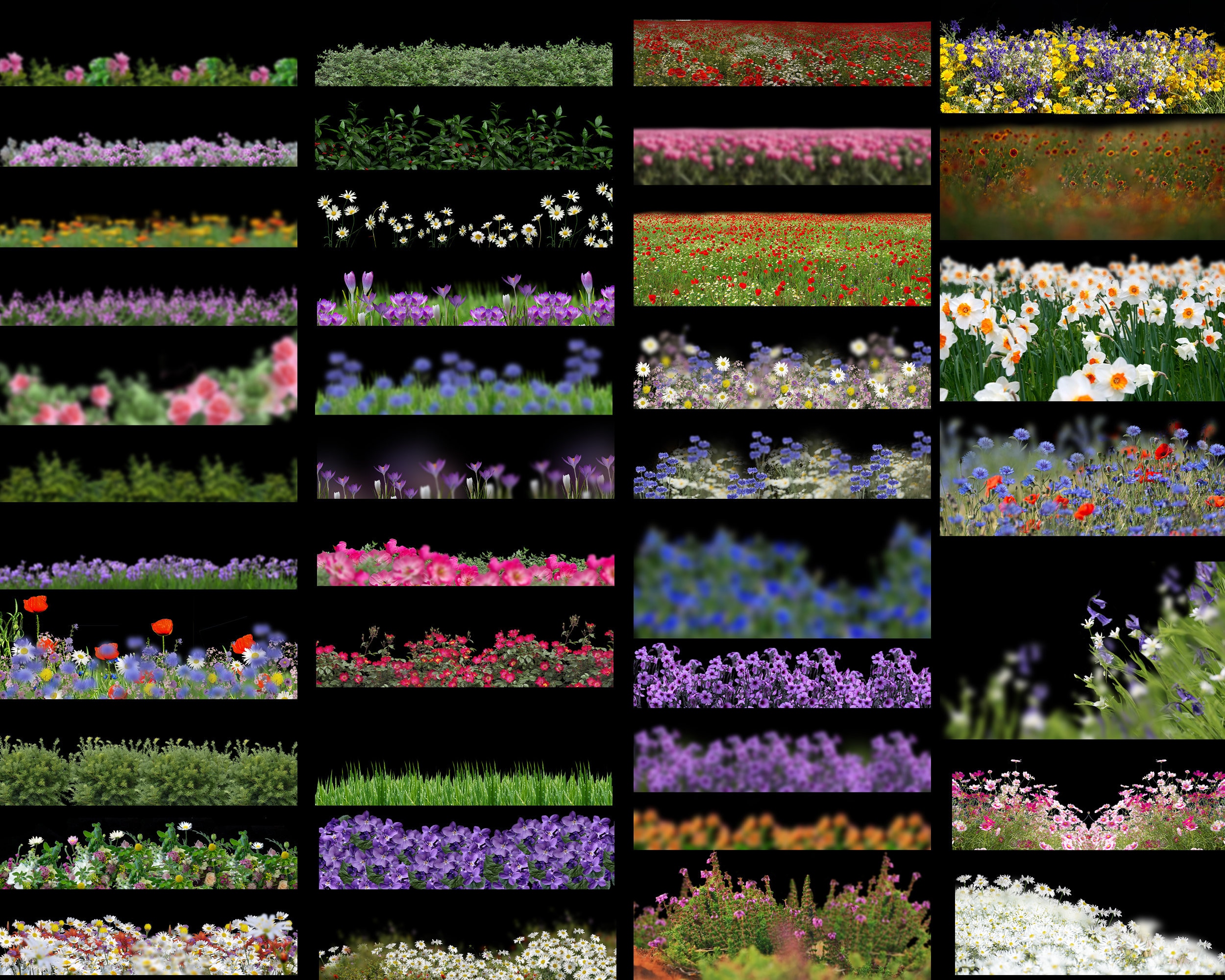 Flower Glade Photoshop Overlays, Flowering Field Photo Overlays ...