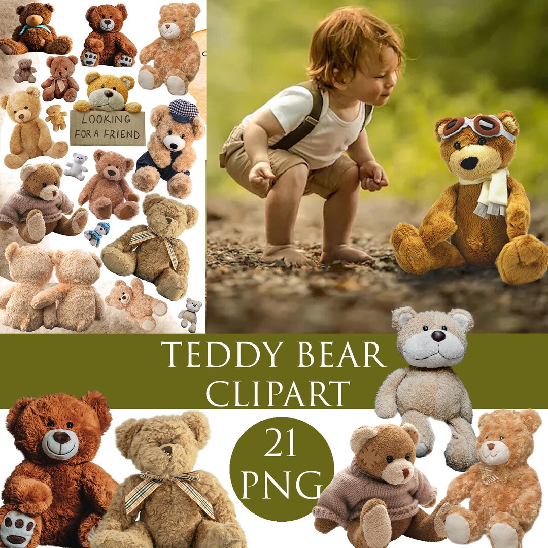 Teddy Bear Clipart, Teddy Bears Overlays, Teddy Bear PNG, Digital Bear ...
