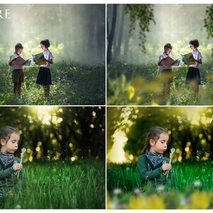 Artistic Blur Photo Overlays, Blurred Overlay, Maternity Backdrop ...