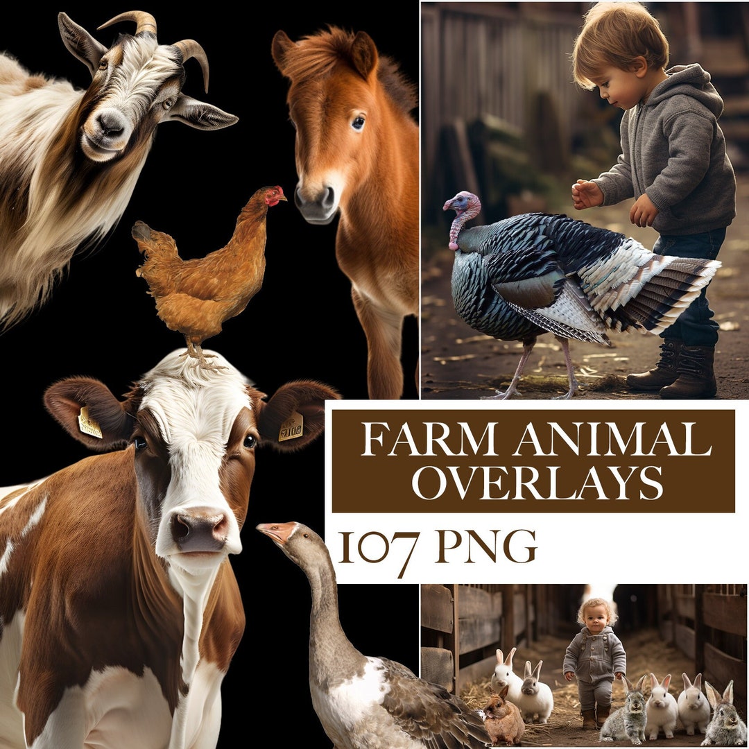 Farm Animal Overlay, Photoshop Overlay, Farm Animals Transparent PNG ...