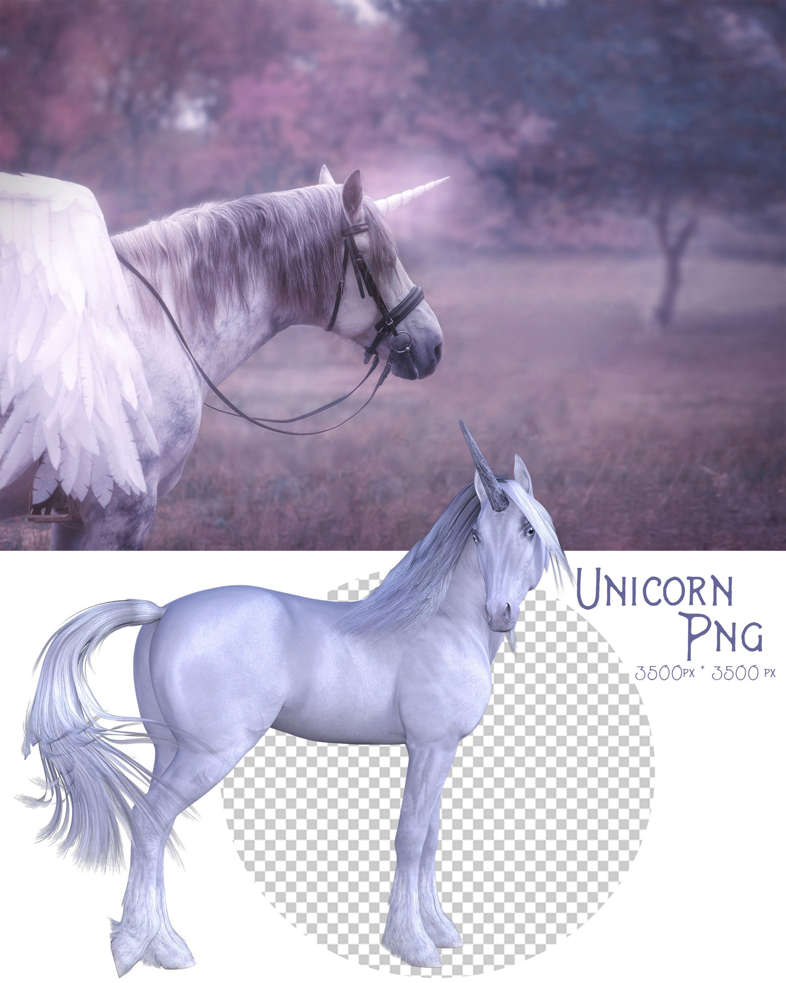 Unicorn & Horse Digital Photography Overlay and Clipart - Etsy