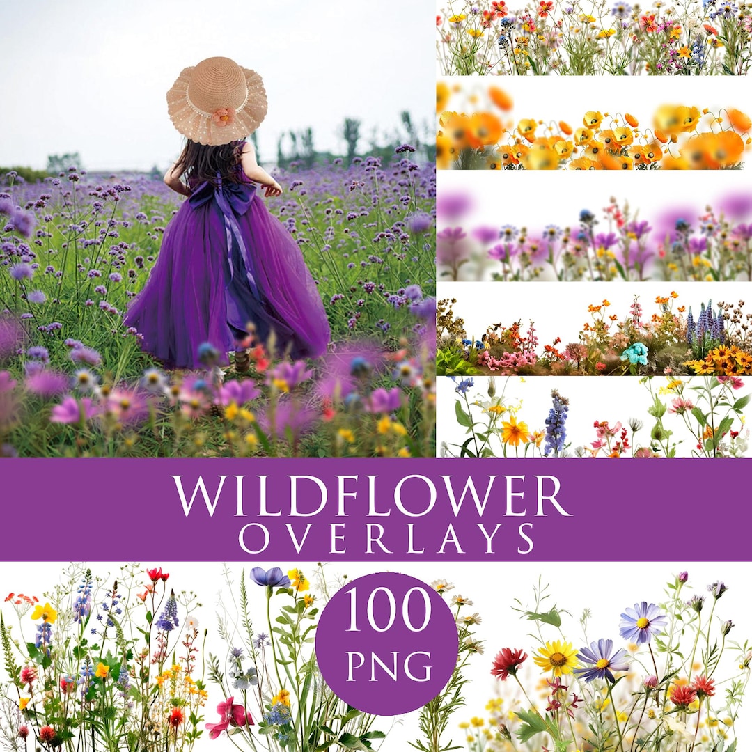 Wildflower Overlays, Flower Overlays, Flowering Fields for Photo ...