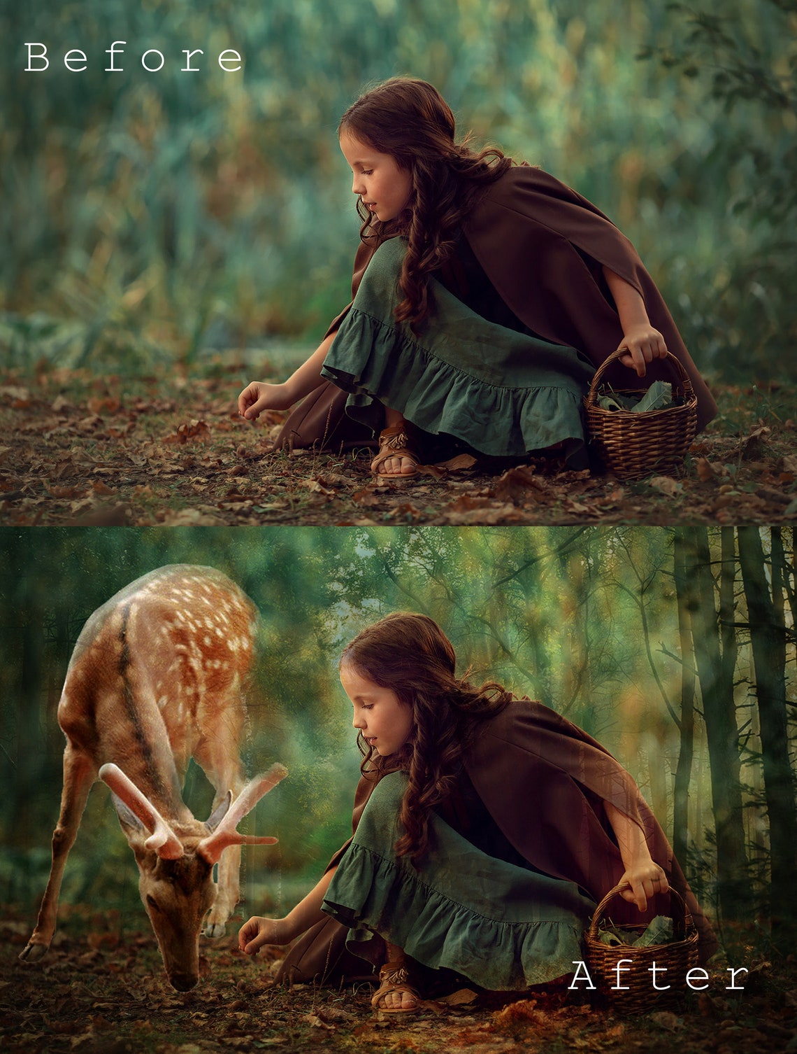 Deer Overlays, Animal Overlay and Photoshop Action Collection, Forest ...
