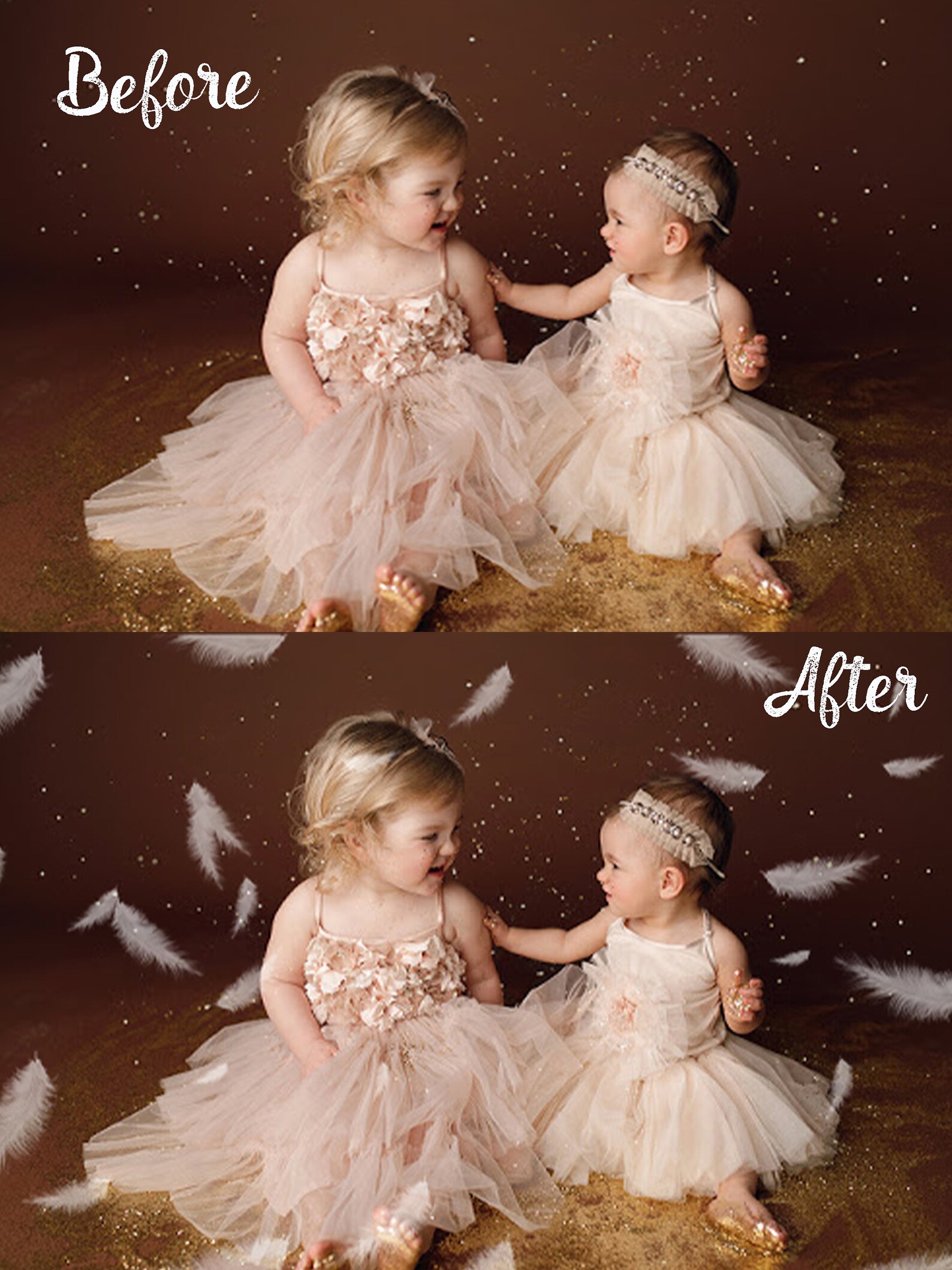 Feather Overlays, Feather Photo Overlay, Feather Photoshop Overlay ...