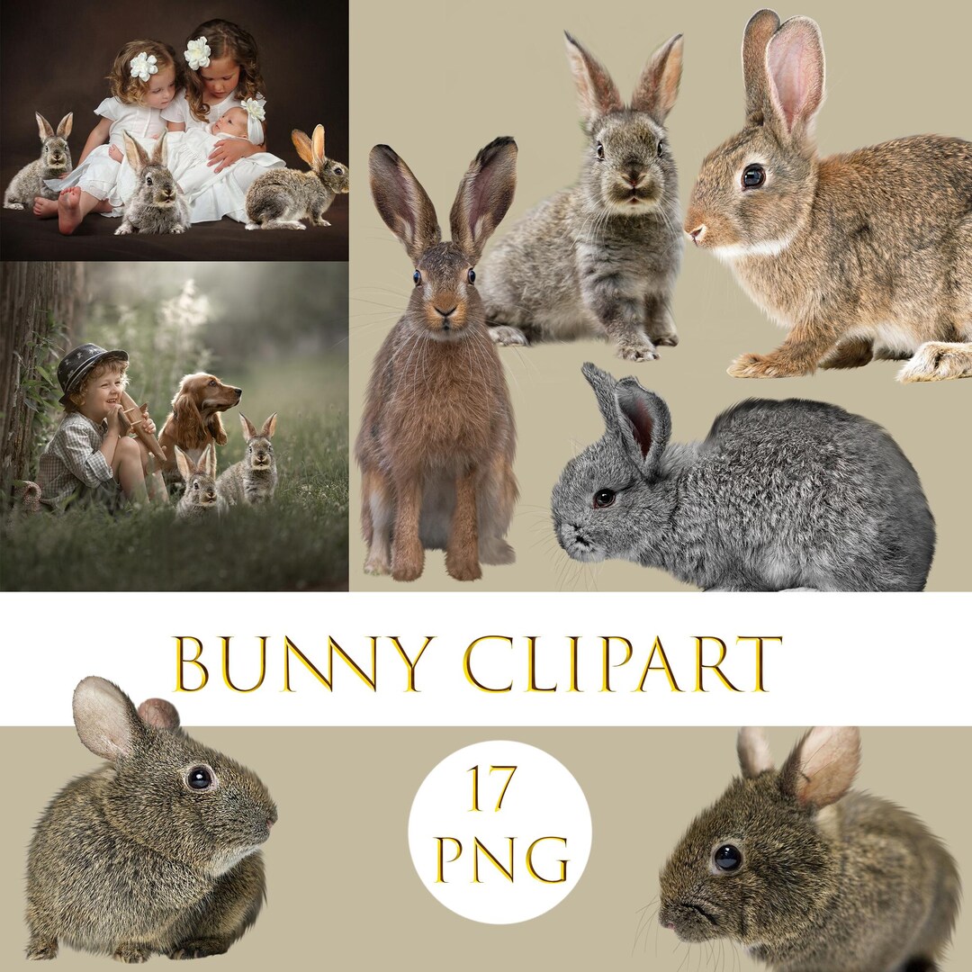 Bunny Clipart Overlays: Easter & Farm Animal PNG, Rabbits Overlay ...