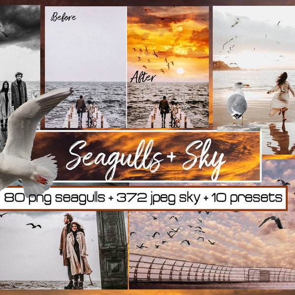 Seagull Photo - Etsy