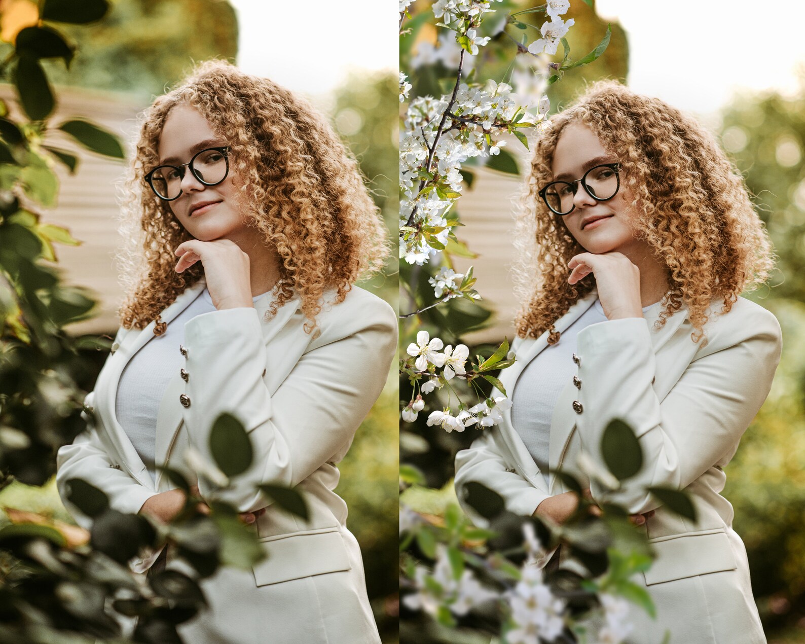 Apple Blossom Overlays, Spring Overlays, Blooming Spring Branch ...