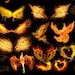 Fire Overlays, Fire Sparks Overlays, WINGS PNG, WINGS Bonfire Overlays ...