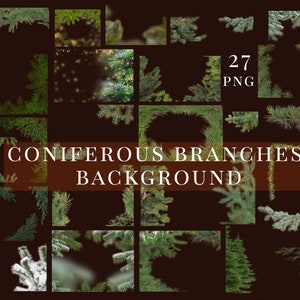 Coniferous Overlays, Evergreen Overlay Pack, Winter Digital Photoshop ...