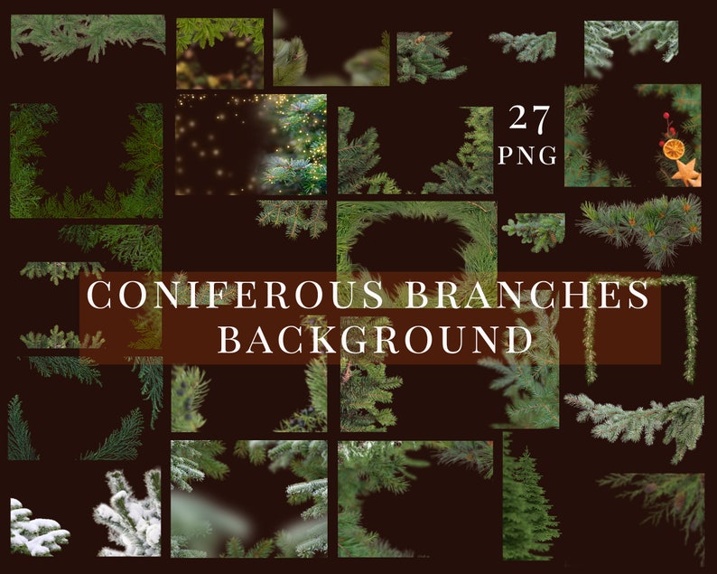 Coniferous Overlays, Evergreen Overlay Pack, Winter Digital Photoshop ...
