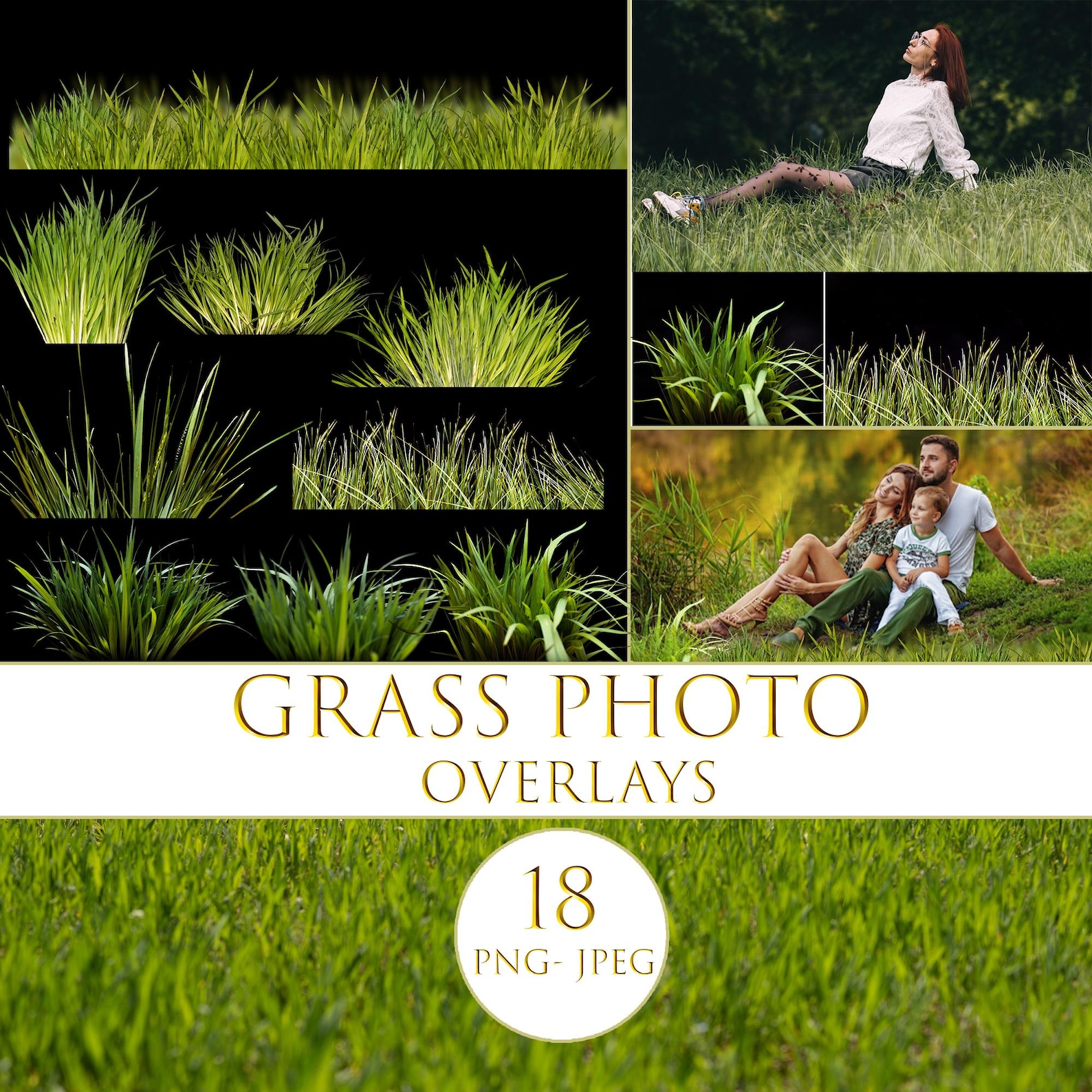 Grass Photo Overlays, Glade Photoshop Overlays, Grass Png, Foreground ...