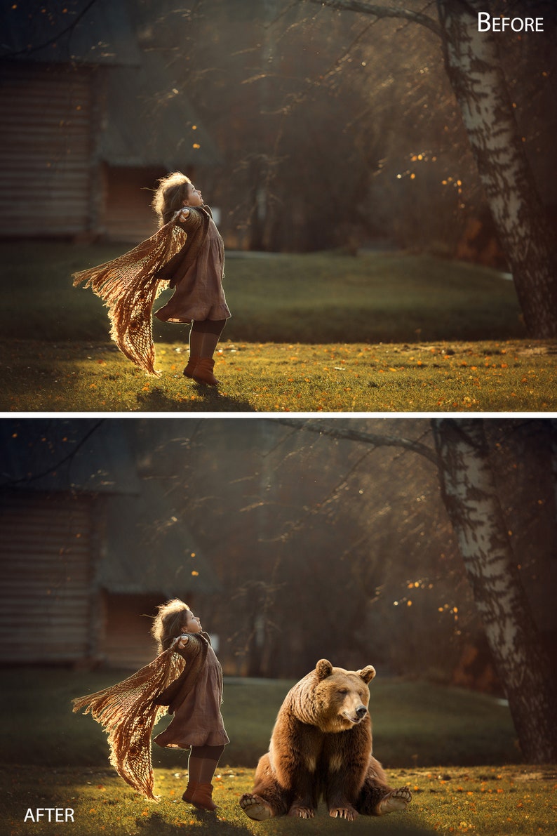 Bear Png Bear Clipart Wild Animal Overlays Wild Bears - Etsy