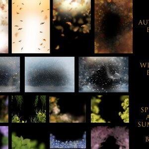 Artistic Blur Photo Overlays, Blurred Overlay, Maternity Backdrop ...