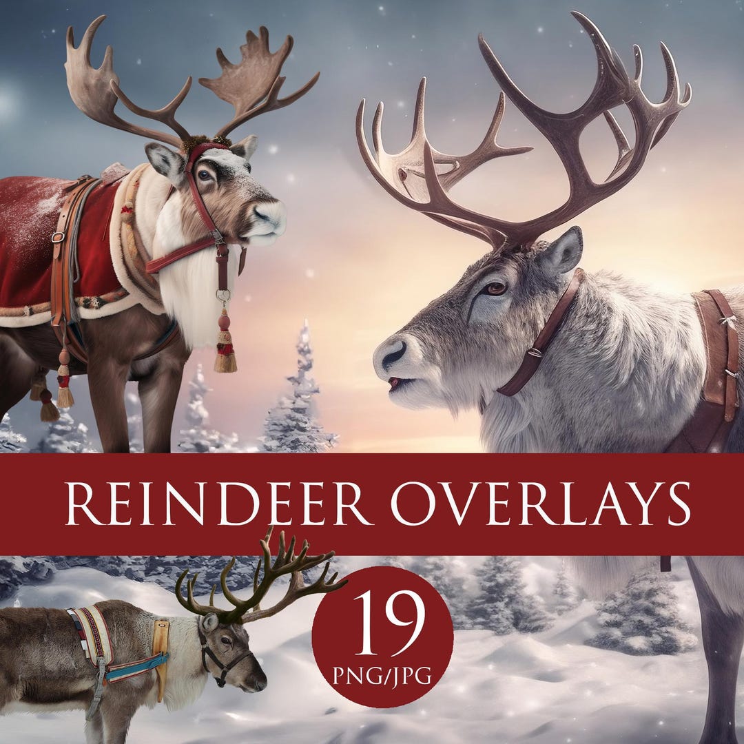 Christmas Reindeer Overlay Set: Photography Backdrops, Clipart (digital ...