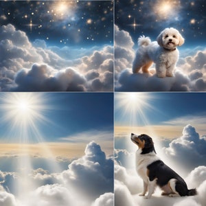 Pet Memorial, Pet Memorial Digital Background, Way to Heaven ...