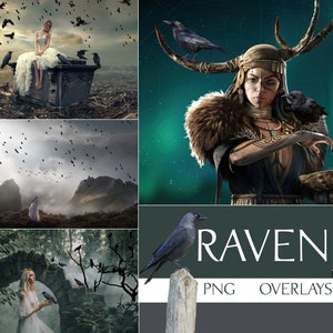 Crows Overlays, Fly Bird Overlays, Black Raven Png, Ravens and Crows ...