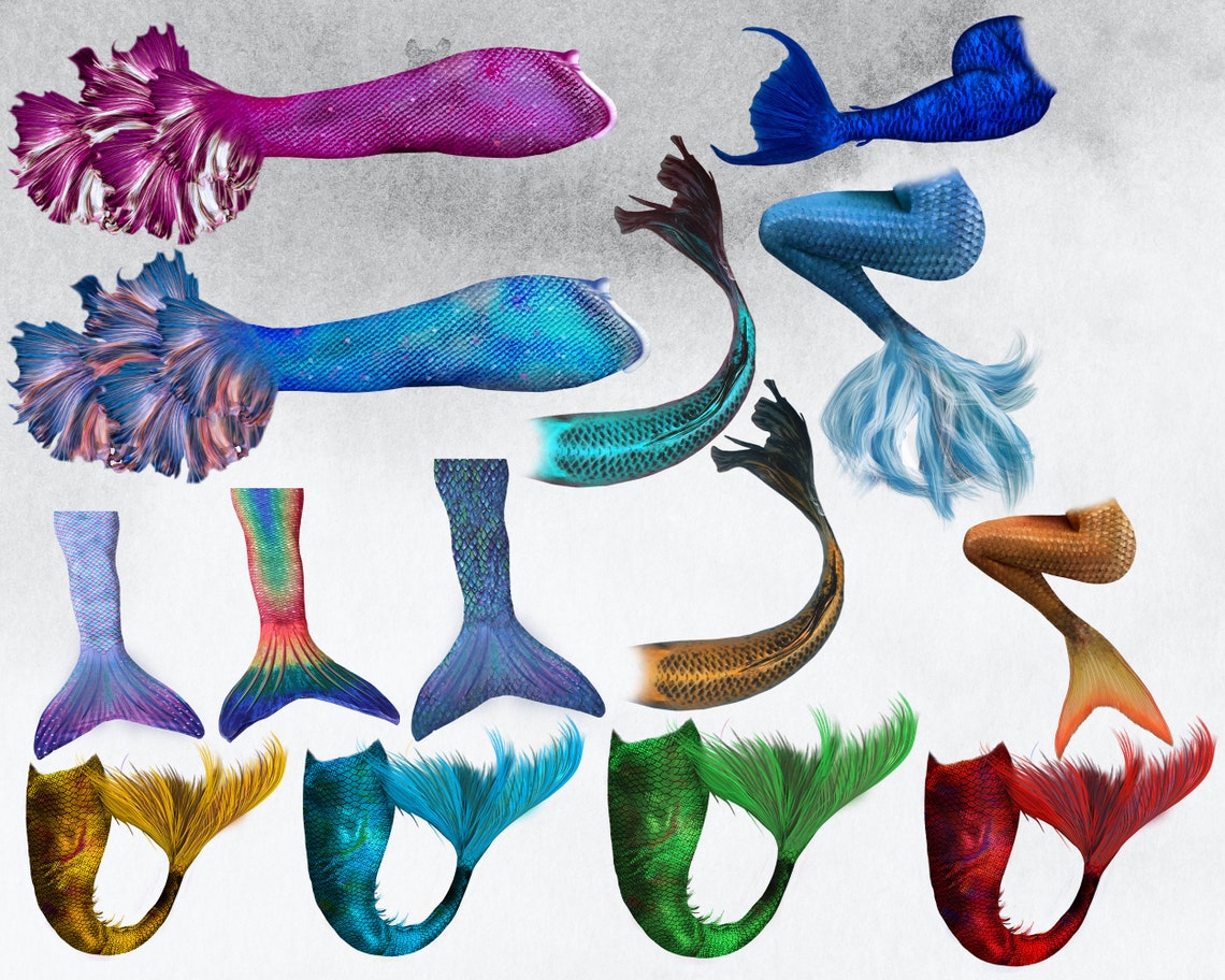 Mermaid Tail Png Mermaid Tail Clipart Mermaid Tail Overlays - Etsy