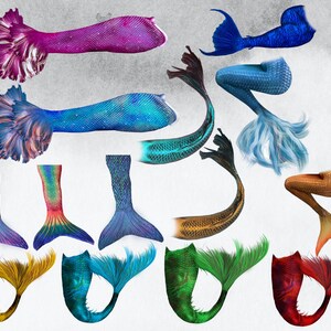 Mermaid Tail Png, Mermaid Tail Clipart, Mermaid Tail Overlays, Fantasy ...
