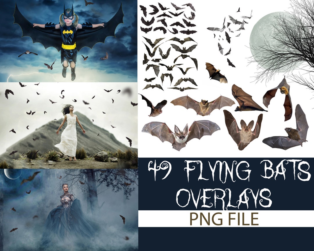Bats Overlays Flying Bats Overlays Spooky Overlays - Etsy