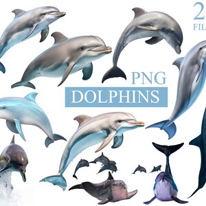 Dolphins Overlay Photoshop, Photo Composite, Digital Dolphin PNG ...