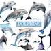 Dolphins Overlay Photoshop, Photo Composite, Digital Dolphin PNG ...