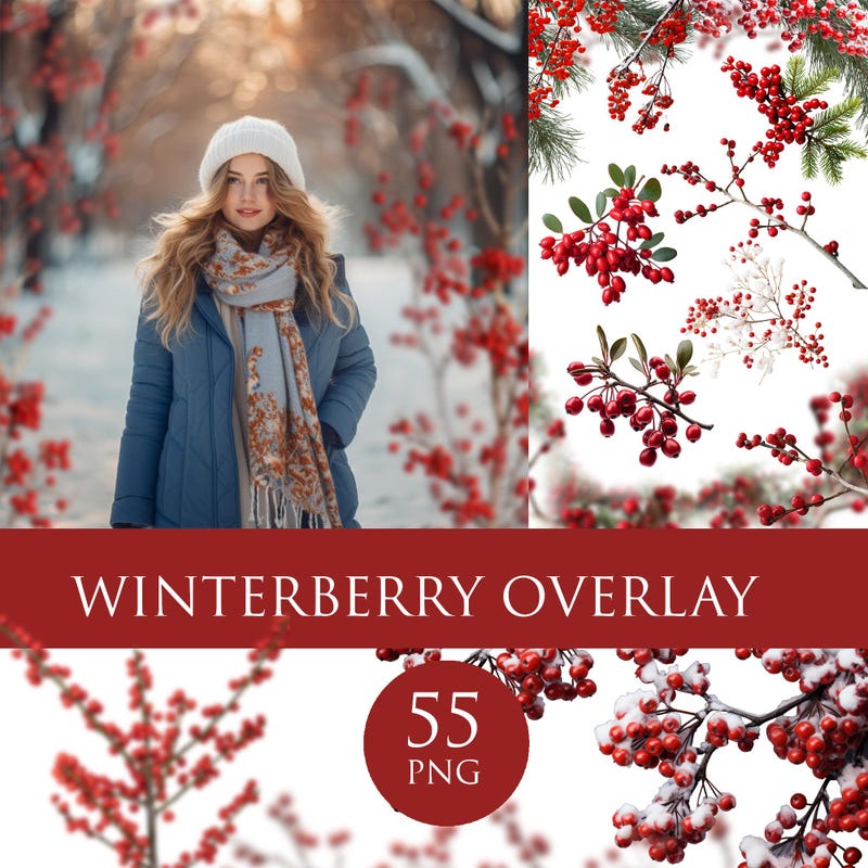 Rowan Berries Christmas - Etsy