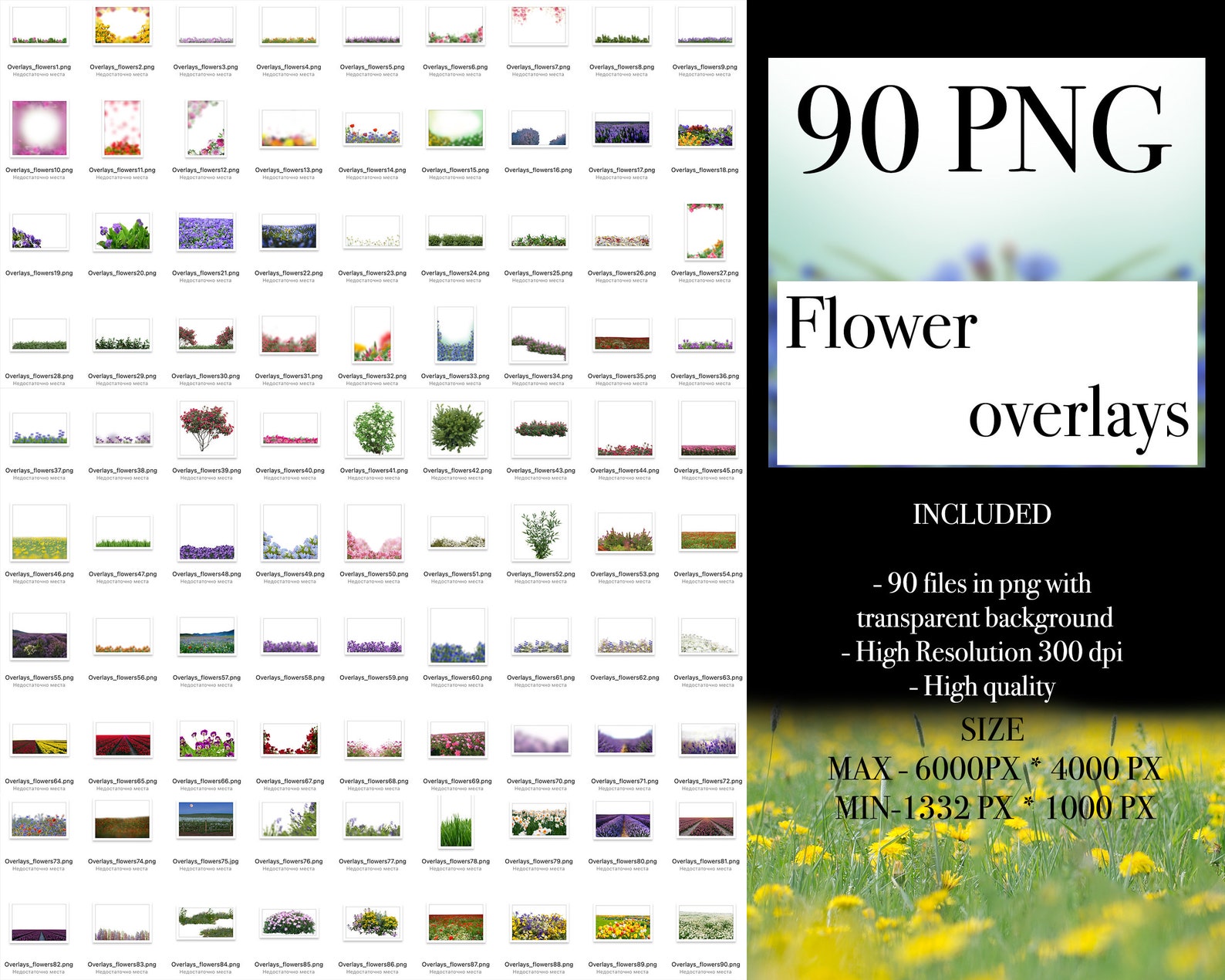 Flower Glade Photoshop Overlays Flowering Field Photo - Etsy