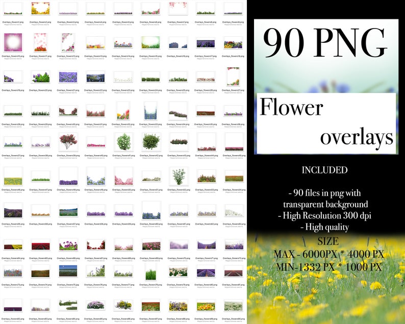 Flower Glade Photoshop Overlays, Flowering Field Photo Overlays ...