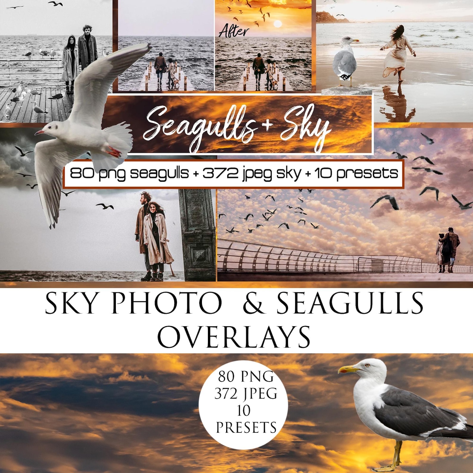 372 Sky Photo Overlays, Seagull Overlays, Seagull Photo Overlay ...