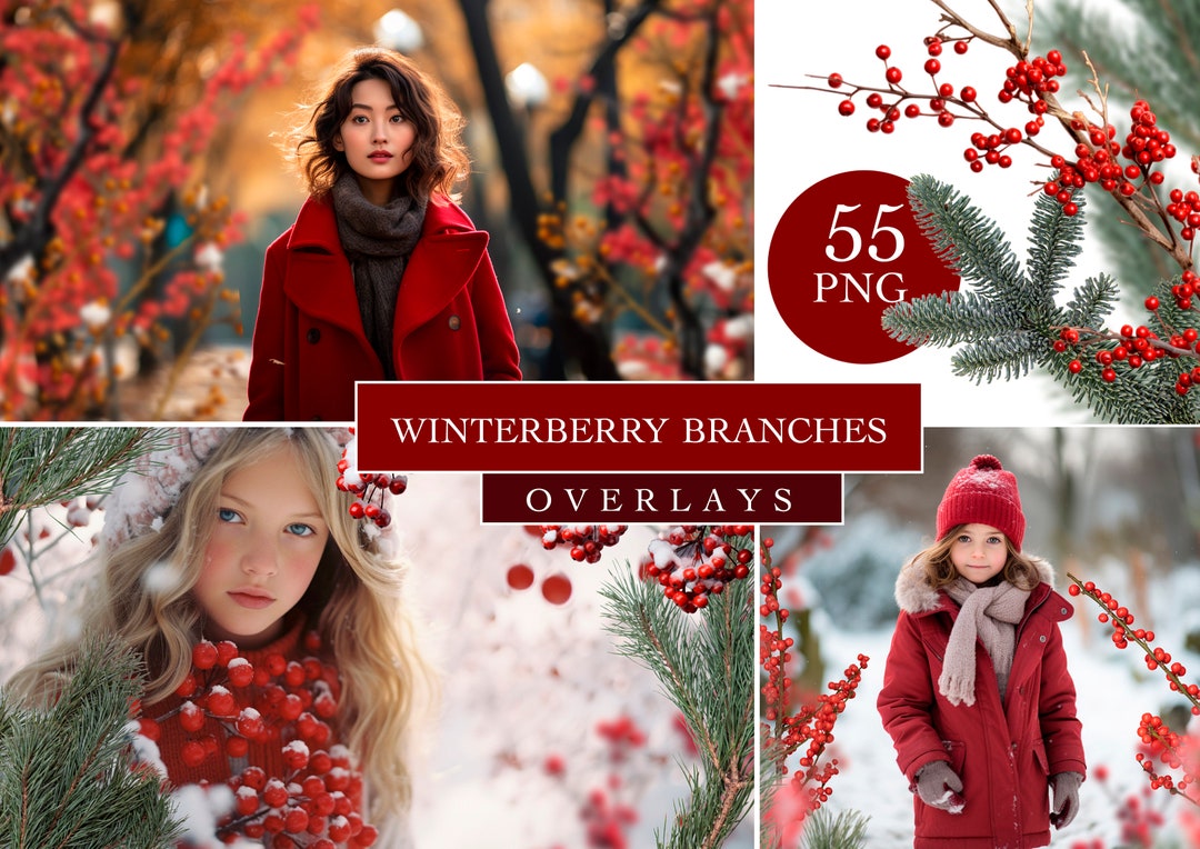 Berries Clipart, Christmas Overlay, Winter Overlay, Winterberry Overlay ...