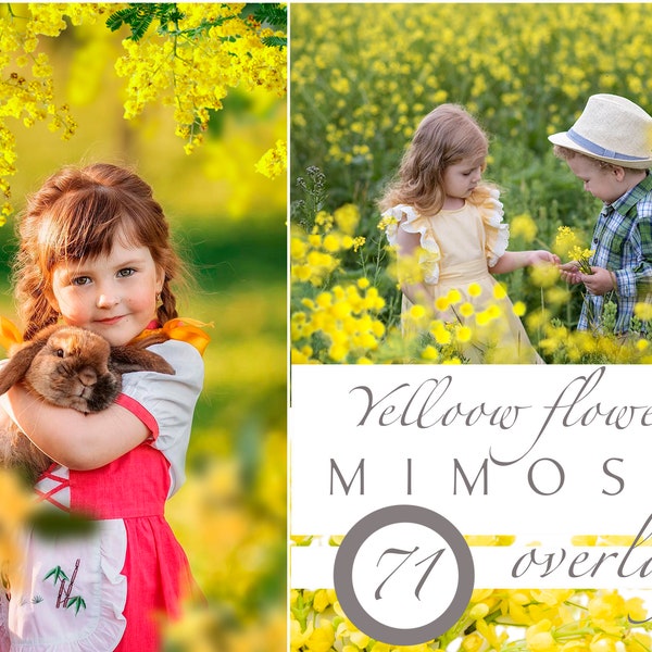 Yellow Flowers - Etsy