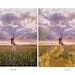 Field Overlays, Wheat Fields Overlay, Golden Field Photo Overlays ...