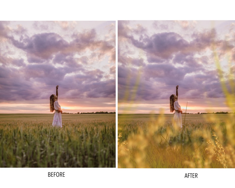 Field Overlays Wheat Fields Overlay Golden Field Photo - Etsy