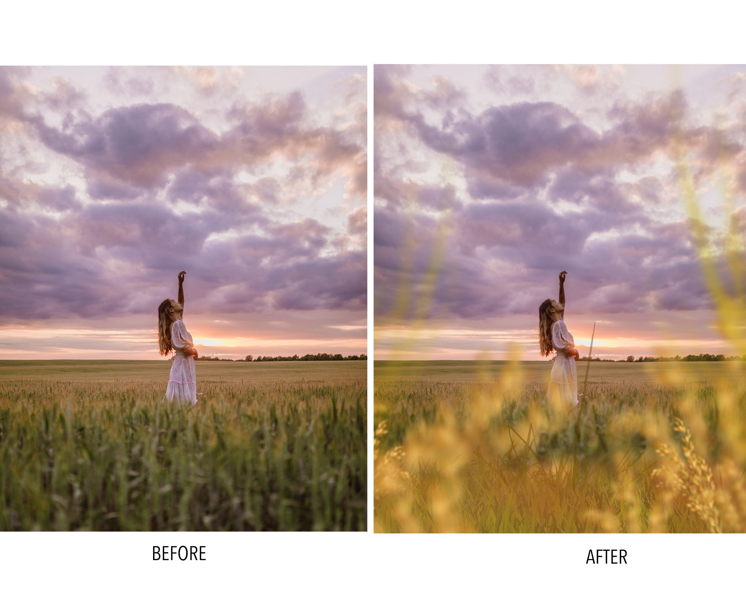 Field Overlays, Wheat Fields Overlay, Golden Field Photo Overlays ...