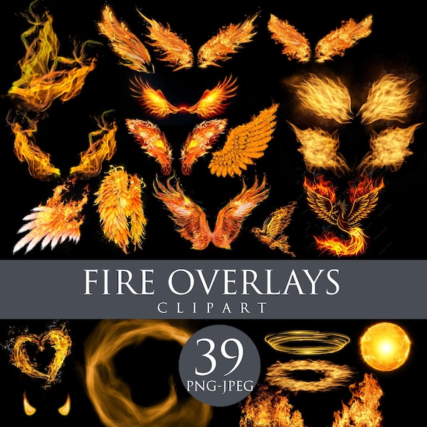 Wings of Fire Svg - Etsy