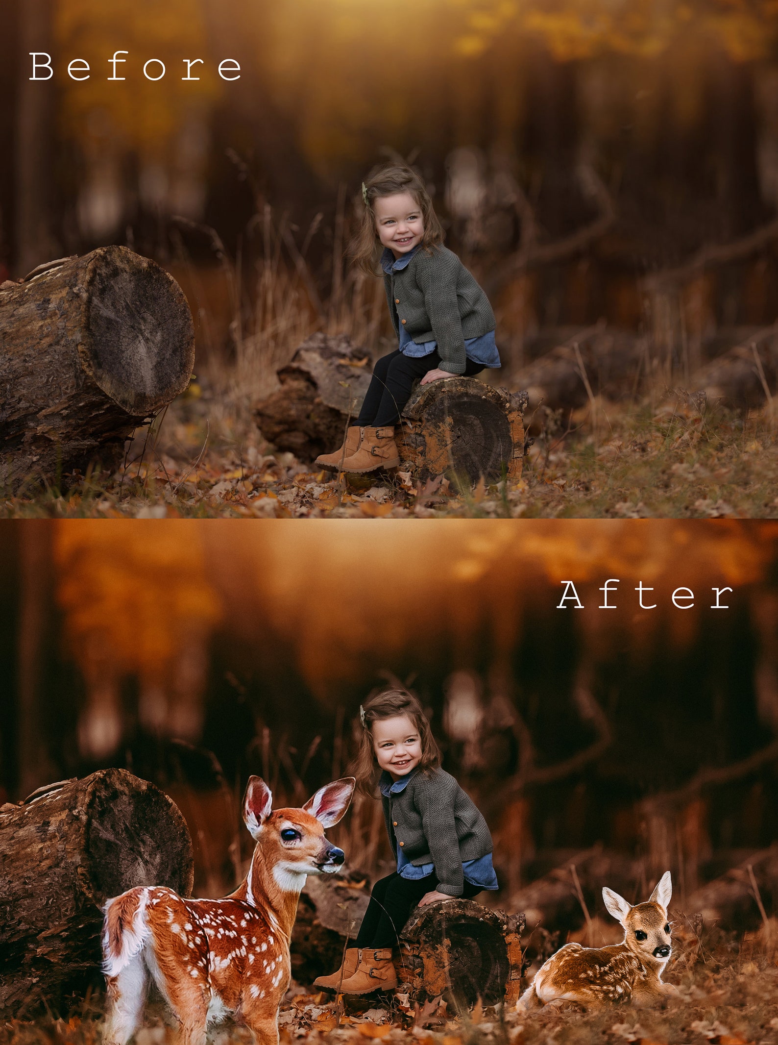 Deer Overlays, Animal Overlay and Photoshop Action Collection, Forest ...