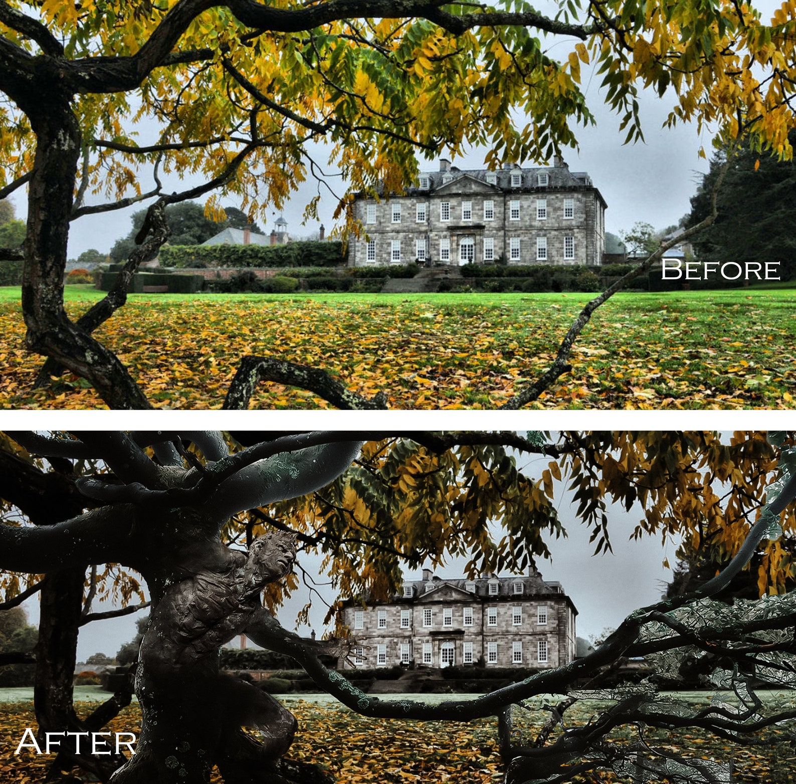 20 Screaming Trees Branches Halloween Overlays Spook Tree | Etsy