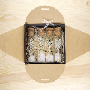 Christmas Glass Test Tube With Cork, Set of 4, White Tree, Organza ...