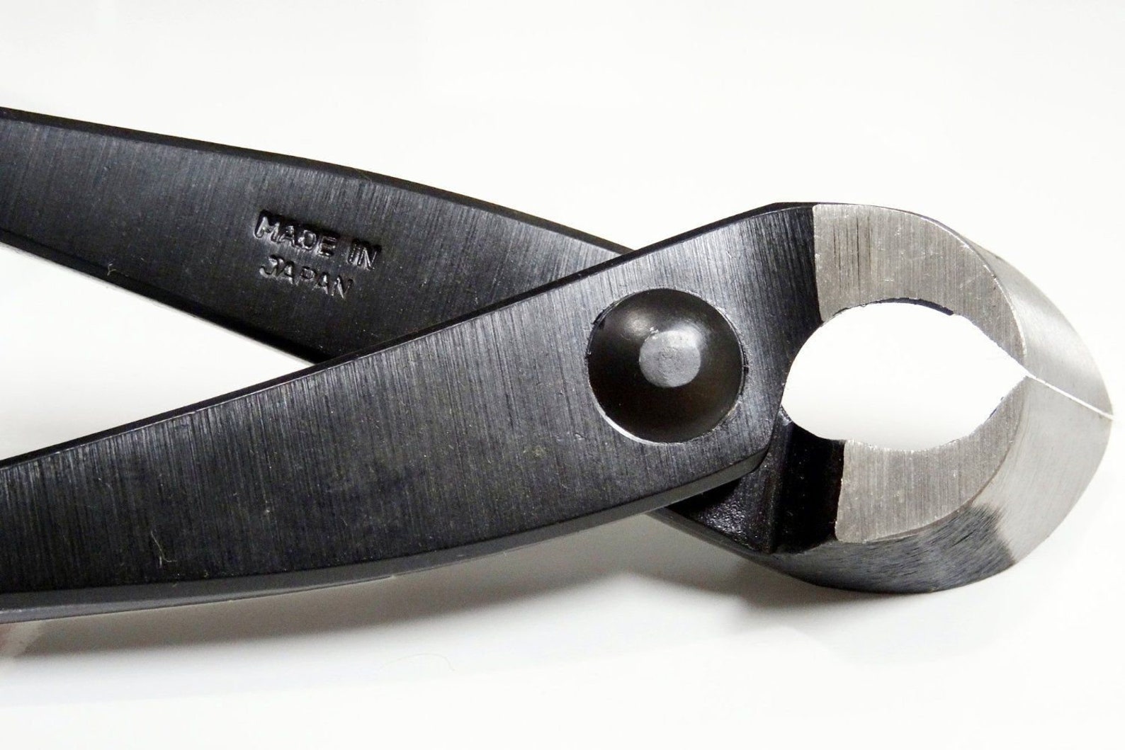 Tinygreen JAPAN Bonsai Tool: Professional Grade Japanese Concave ...