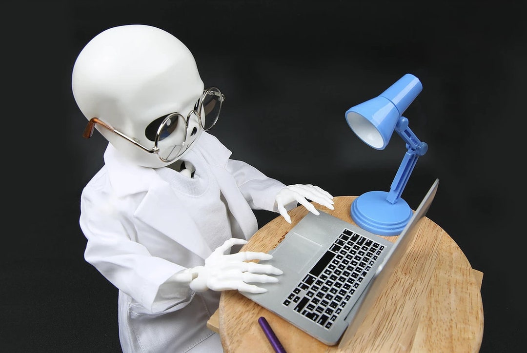 Original Sans Doll ver.full Make up Lab Set - Etsy